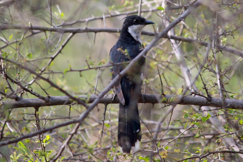 The Wisdom of God Appears in Afflictions – James H. Aughey | Christian ...